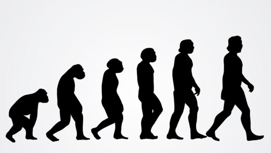 Cooperation As A Crucial Factor In Human Language Evolution NewsClick cooperation-as-a-crucial-factor-in-human-language-evolution-newsclick